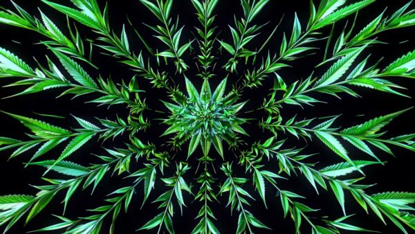 Packs Videos & AI VJ Loops | VJ Loops AI